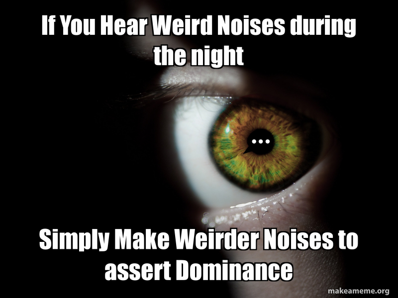 If You Hear Weird Noises during the night Simply Make Weirder Noises to ...