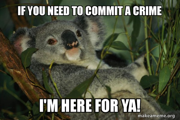 If you need to commit a crime I'm here for ya! - Laid Back Koala Meme ...