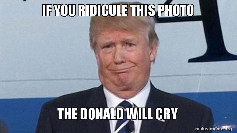 if you ridicule this photo the donald will cry Meme Generator