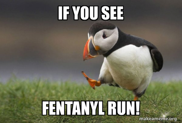 If you see Fentanyl RUN! - Unpopular Opinion Puffin Meme Generator