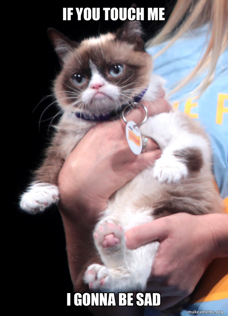 IF you touch me I gonna be sad Meme Generator