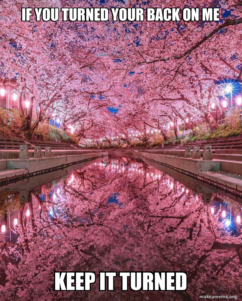 If you turned your back on me Keep it turned Meme Generator