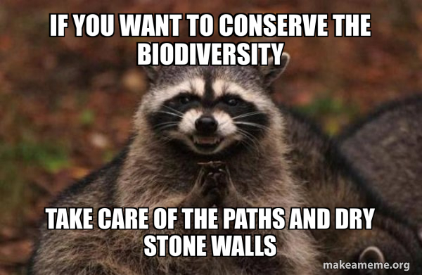 If you want to conserve the biodiversity take care of the paths and dry ...