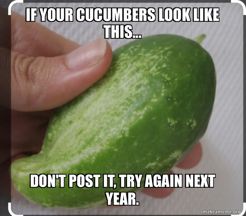 If your cucumbers look like this... Don't post it, try again next year ...