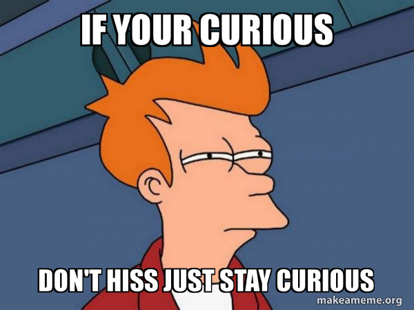if your curious don't hiss just stay curious - Futurama Fry Meme Generator