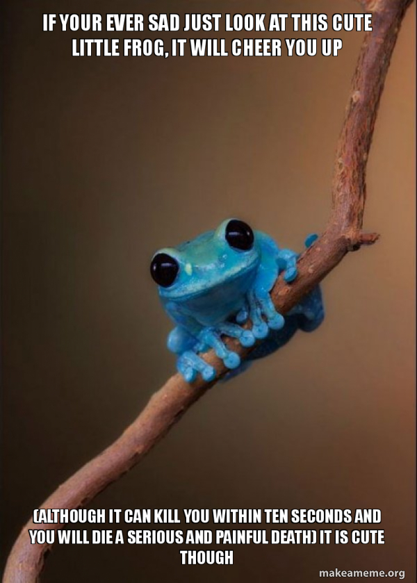 If your ever sad just look at this cute little frog, it will cheer you ...