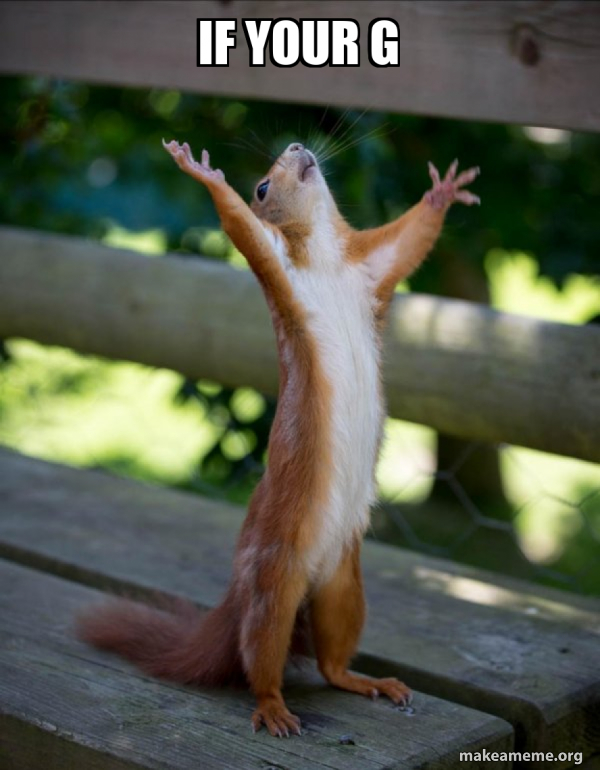 if your g - Happy Squirrel Meme Generator