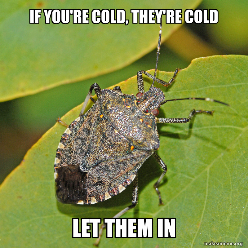 if you're cold, they're cold let them in Meme Generator