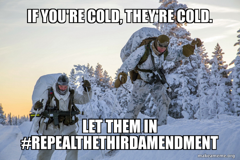 If you're cold, they're cold. Let them in #repealthethirdamendment Meme ...