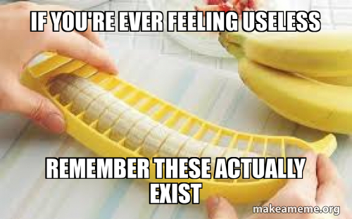 If YOU'RE ever feeling Useless Remember these actually Exist Meme Generator