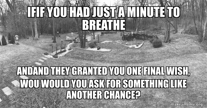 Ifif you had just a minute to breathe Andand they granted you one final ...