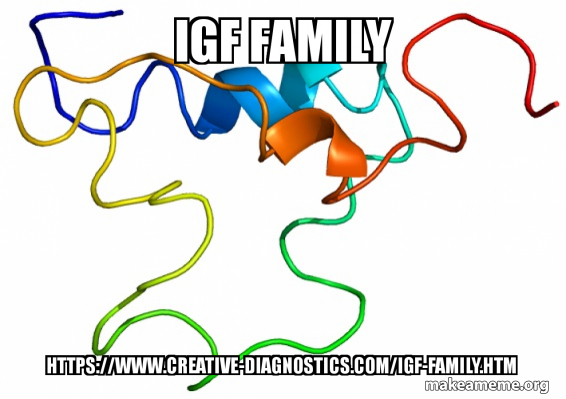 IGF Family https://www.creative-diagnostics.com/igf-family.htm Meme ...