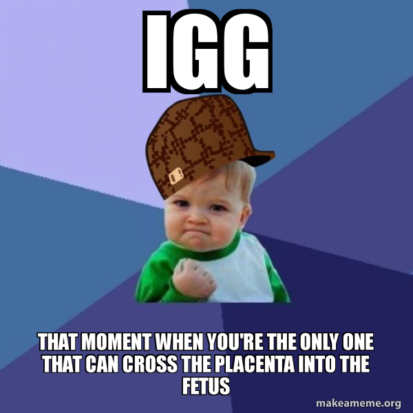 Placenta Meme Love My Framed Placenta Xoxo : R/ShitMomGroupsSay