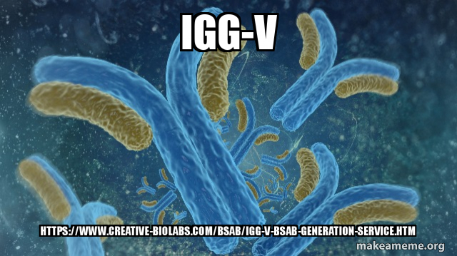 IgG-v https://www.creative-biolabs.com/bsab/igg-v-bsab-generation ...