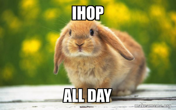 IHOP ALL DAY - Regretful Rabbit Meme Generator