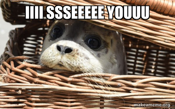IIII SSSEEEEE YOUUU - Impending Doom Seal Meme Generator