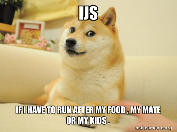 IJS If I have to run after my food , my mate or my kids . - Doge Meme ...