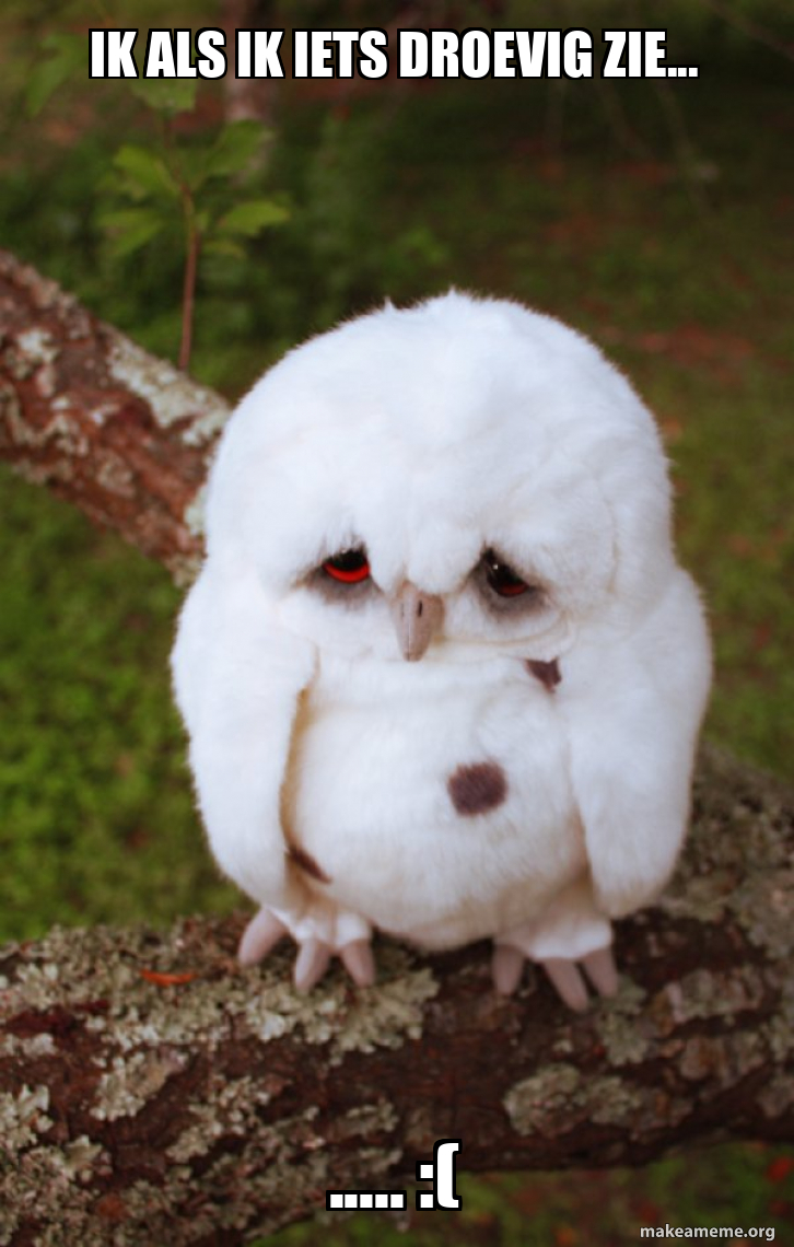 Ik als ik iets droevig zie... ..... :( - Sad Owl Meme Generator