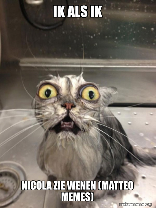 Ik als ik Nicola zie wenen (matteo memes) - Cat bath Meme Generator