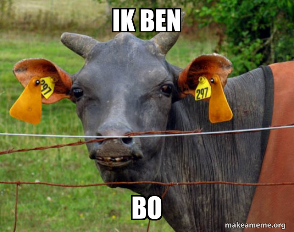 ik ben bo - Hairless Cow Meme Generator
