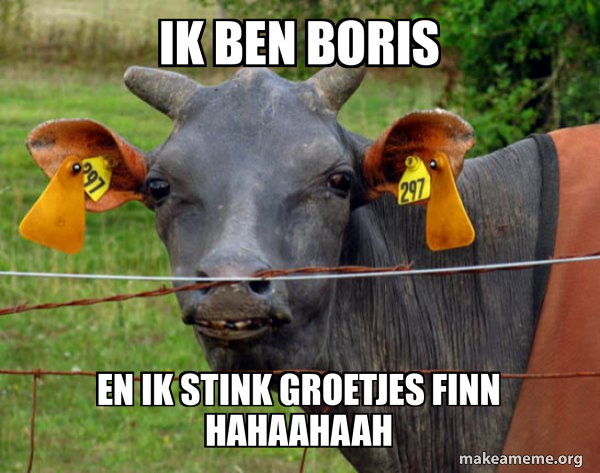 ik ben boris en ik stink Groetjes Finn hahaahaah - Hairless Cow Meme ...
