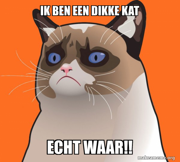 IK BEN EEN DIKKE KAT ECHT WAAR!! - Cartoon Grumpy Cat Meme Generator