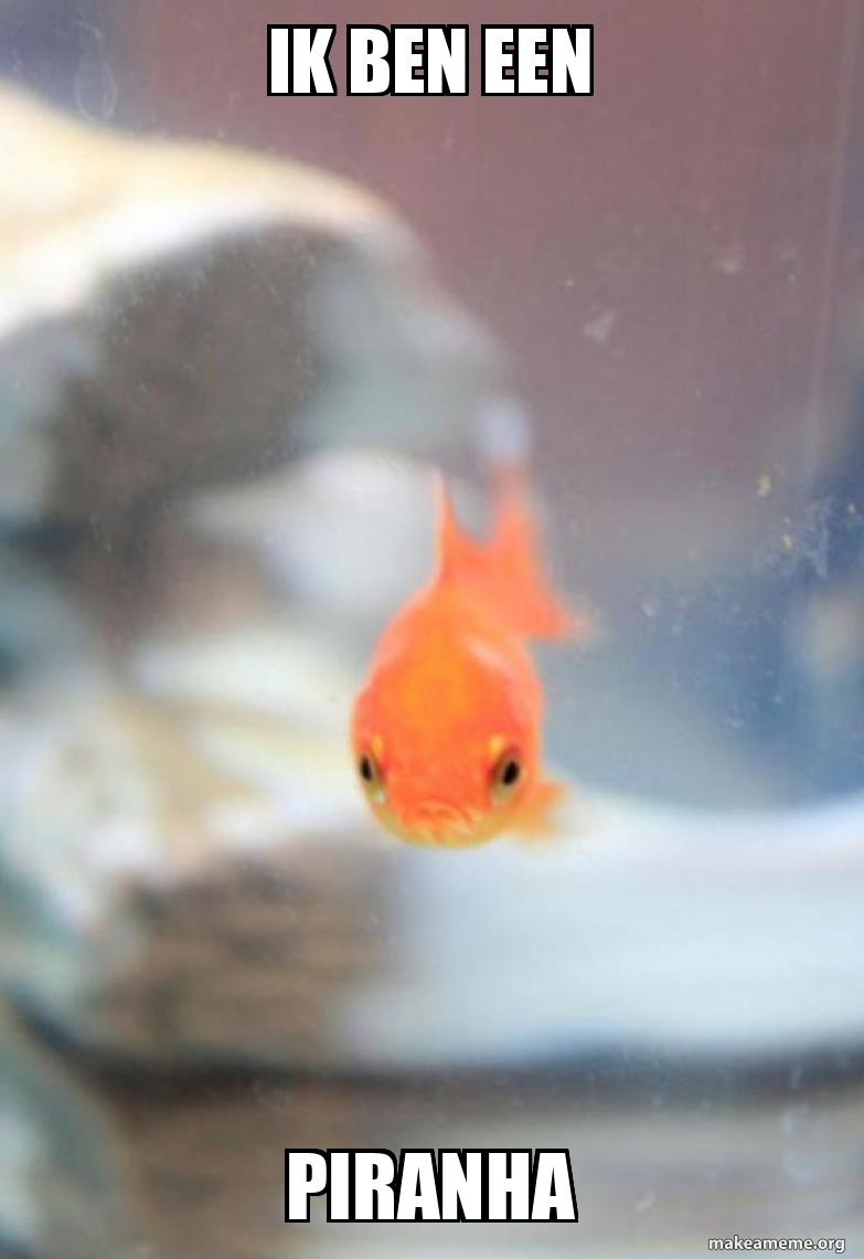 ik ben een piranha - Grumpy Fish Meme Generator