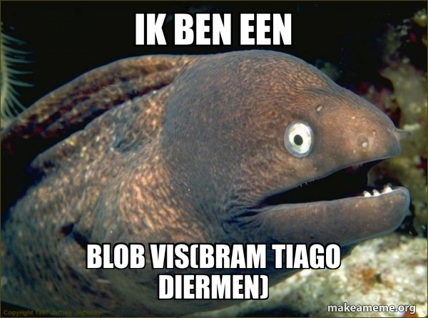 IK BEN EEN BLOB VIS(BRAM TIAGO DIERMEN) - Bad Joke Eel Meme Generator
