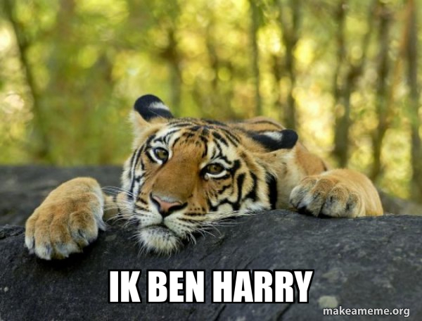 ik ben harry - Confession Tiger Meme Generator