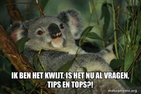 Ik ben het kwijt. Is het nu al vragen, tips en tops?! - Laid Back Koala ...