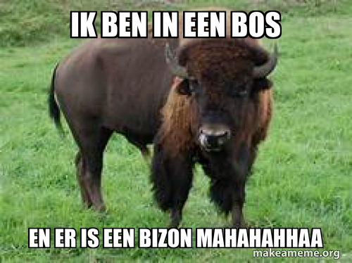 Ik ben in een bos En er is een bizon Mahahahhaa Meme Generator