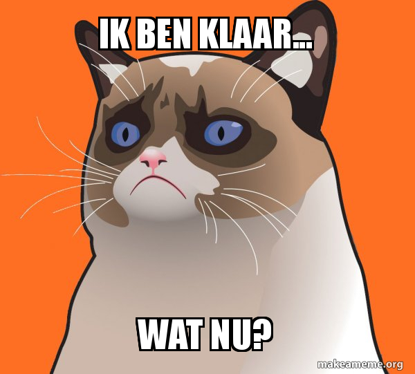 Ik ben klaar... wat nu? - Cartoon Grumpy Cat Meme Generator