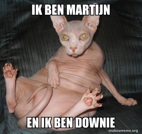 Ik Ben Bang Kat Meme