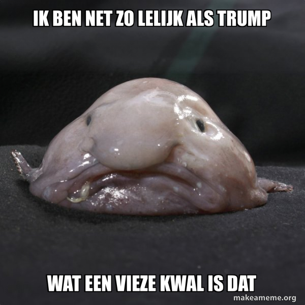 ik ben net zo lelijk als trump wat een vieze kwal is dat - Blobfish ...