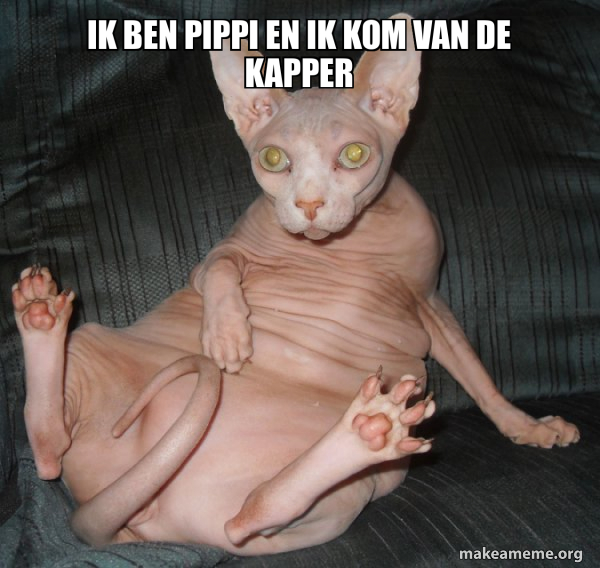 Ik ben pippi en ik kom van de kapper - Hairless Cat Meme Generator