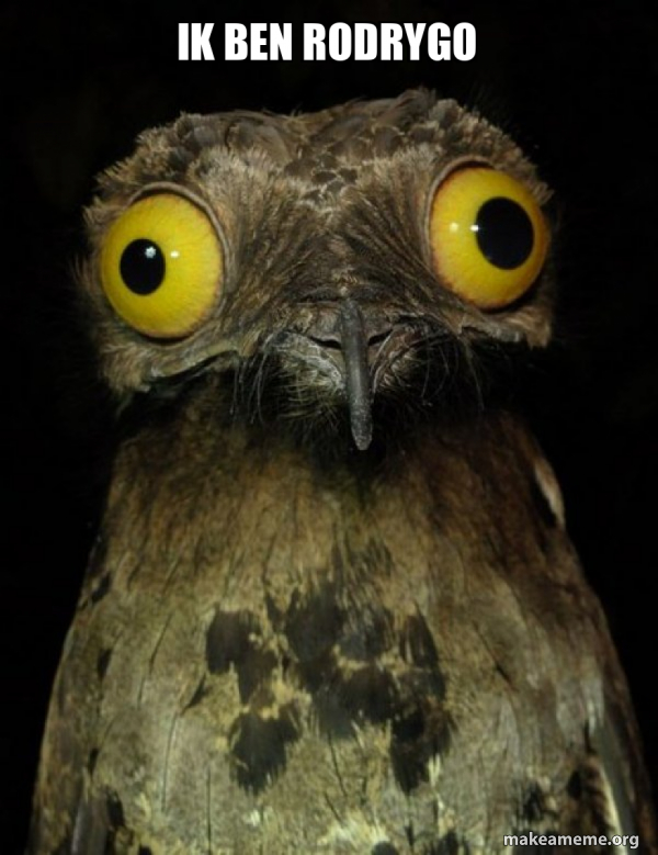 IK BEN RODRYGO - Weird Stuff I do Potoo Meme Generator