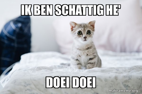 ik ben schattig he' doei doei - Cute Kitten Meme Generator