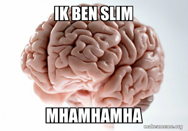 ik ben slim mhamhamha - Scumbag Brain Meme Generator