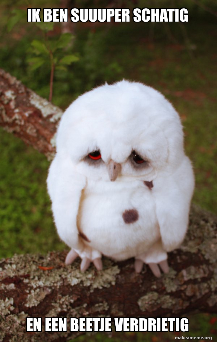 ik ben suuuper schatig en een beetje verdrietig - Sad Owl Meme Generator