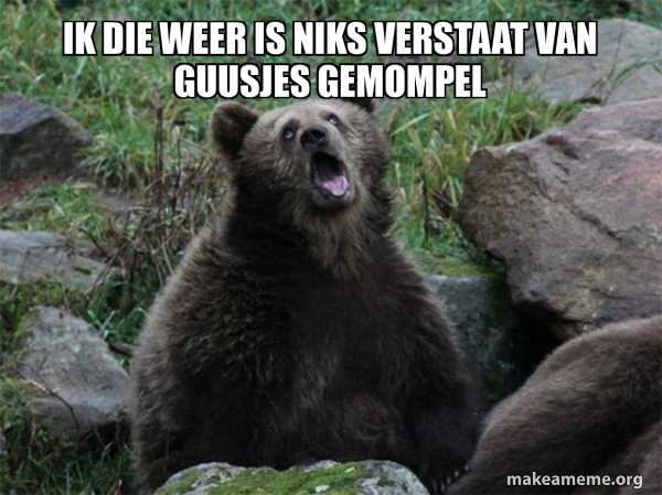 Ik die weer is niks verstaat van guusjes gemompel - Sarcastic Bear Meme ...