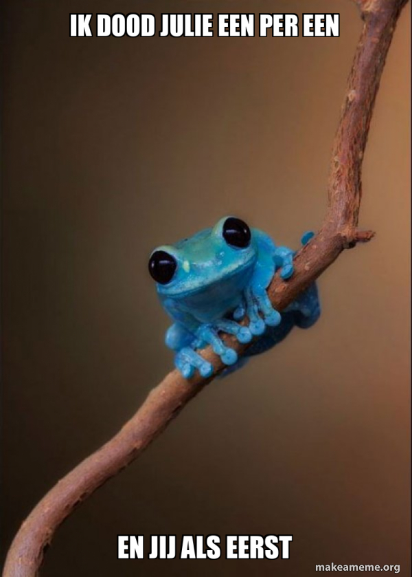 ik dood julie een per een en jij als eerst - Small Fact Frog Meme Generator