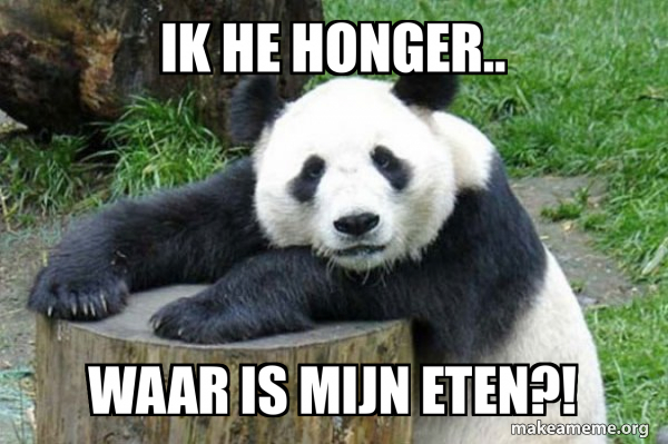 ik he honger.. waar is mijn eten?! - Confession Panda Meme Generator