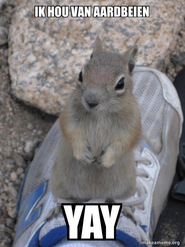 ik hou van aardbeien yay - Standover Squirrel Meme Generator