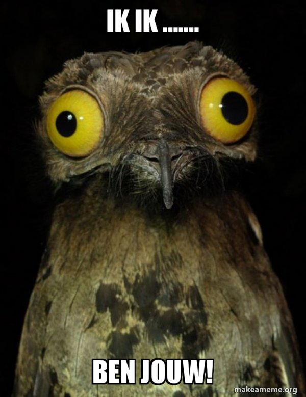 Ik ik ....... Ben jouw! - Weird Stuff I do Potoo Meme Generator