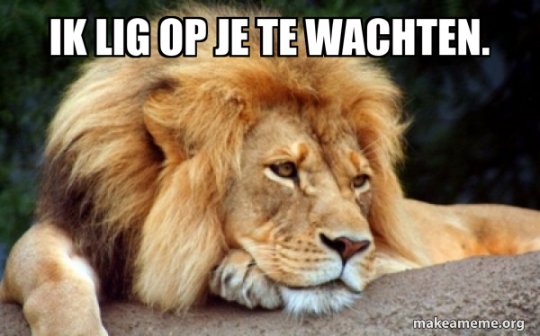 Ik lig op je te wachten. - Confession Lion Meme Generator