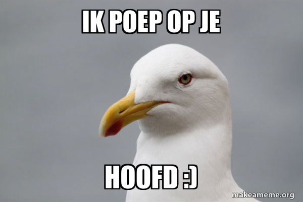 Ik poep op je hoofd :) - Stuff That Didn't Happen Seagull Meme Generator