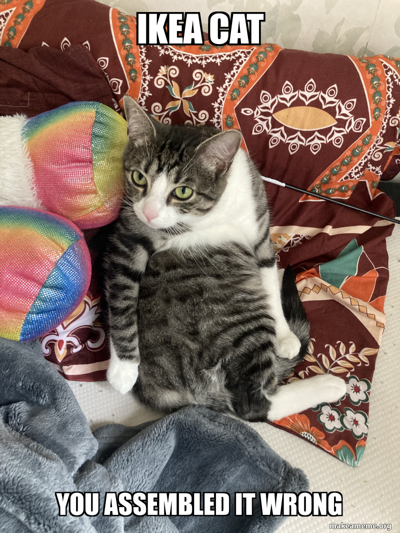 IKEA CAT You assembled it wrong Meme Generator