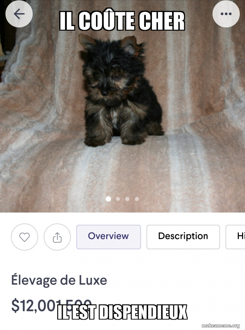 IL COÛTE CHER Il est dispendieux Meme Generator
