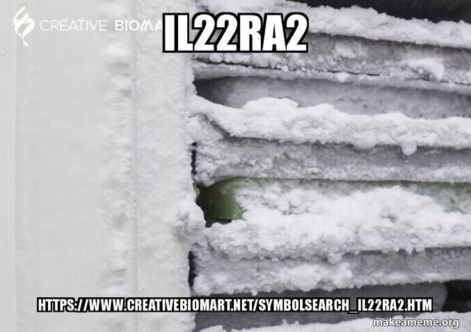 Il22ra2 https://www.creativebiomart.net/symbolsearch_Il22ra2.htm ...