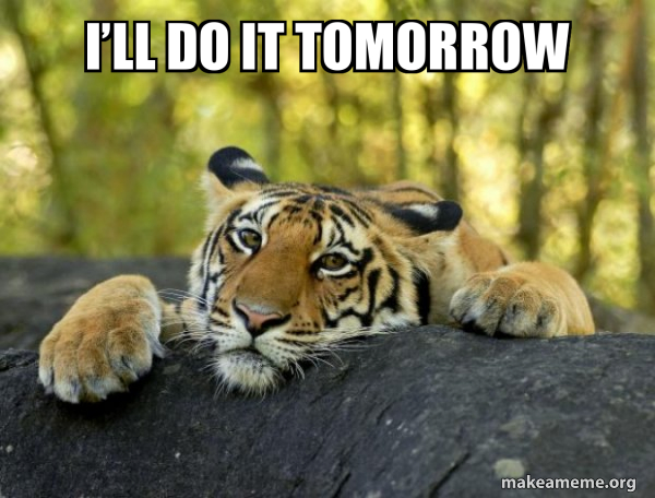 Iâ€™LL DO IT TOMORROW - Confession Tiger Meme Generator